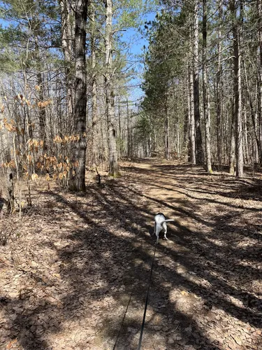 Best Views Trails in Gaylord | AllTrails