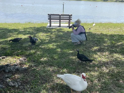 Best Hikes and Trails in Freedom Lake Park | AllTrails