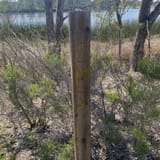 Lake Murray Trail, California - 4,005 Reviews, Map | AllTrails
