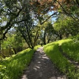 Edgewood Trail Loop, California - 2,526 Reviews, Map | AllTrails