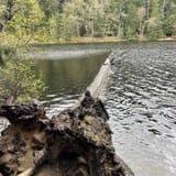Fragrance Lake Trail, Washington - 2,834 Reviews, Map | AllTrails