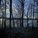 Abraham Lincoln Park White Trail, New York - 1,621 Reviews, Map | AllTrails