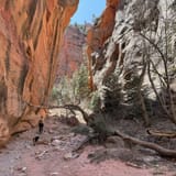 Spring Creek Canyon, Utah - 1,230 Reviews, Map | AllTrails