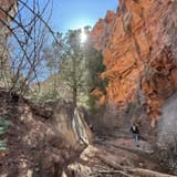 Spring Creek Canyon, Utah - 1,210 Reviews, Map | AllTrails