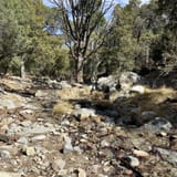 Madera Canyon Nature Trail, Arizona - 1,320 Reviews, Map | AllTrails