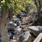Madera Canyon Nature Trail, Arizona - 1,320 Reviews, Map | AllTrails