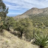Madera Canyon Nature Trail, Arizona - 1,320 Reviews, Map | AllTrails