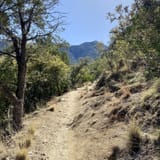 Madera Canyon Nature Trail, Arizona - 1,320 Reviews, Map | AllTrails