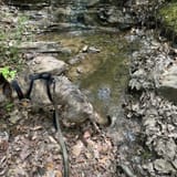 Tree Top Nature Trail, Alabama - 334 Reviews, Map | AllTrails