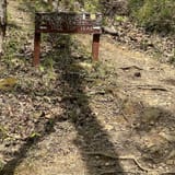 Tree Top Nature Trail, Alabama - 334 Reviews, Map | AllTrails