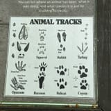 Tree Top Nature Trail, Alabama - 334 Reviews, Map | AllTrails