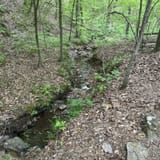 Tree Top Nature Trail, Alabama - 334 Reviews, Map | AllTrails