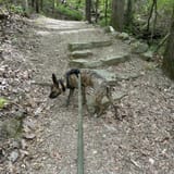 Tree Top Nature Trail, Alabama - 330 Reviews, Map | AllTrails