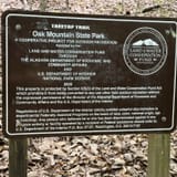 Tree Top Nature Trail, Alabama - 334 Reviews, Map | AllTrails