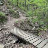 Tree Top Nature Trail, Alabama - 334 Reviews, Map | AllTrails