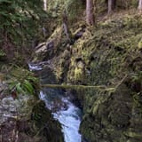 Sol Duc Falls Trail, Washington - 4,551 Reviews, Map | AllTrails