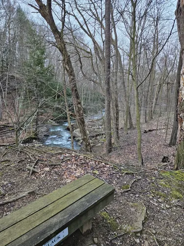 Best Kid Friendly Trails in Apollo | AllTrails