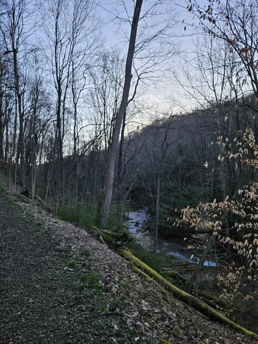 Best Kid Friendly Trails in Apollo | AllTrails