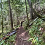 Pyramid Mountain Trail, Washington - 663 Reviews, Map | AllTrails