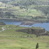 Tom McCall Point Trail, Oregon - 1,525 Reviews, Map | AllTrails