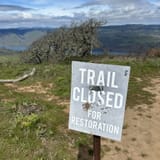 Tom McCall Point Trail, Oregon - 1,525 Reviews, Map | AllTrails