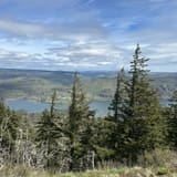 Tom McCall Point Trail, Oregon - 1,525 Reviews, Map | AllTrails