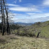 Tom McCall Point Trail, Oregon - 1,525 Reviews, Map | AllTrails