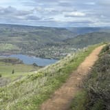 Tom McCall Point Trail, Oregon - 1,525 Reviews, Map | AllTrails