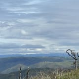 Tom McCall Point Trail, Oregon - 1,525 Reviews, Map | AllTrails