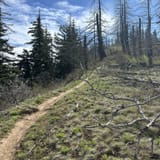 Tom McCall Point Trail, Oregon - 1,525 Reviews, Map | AllTrails