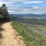 Tom McCall Point Trail, Oregon - 1,525 Reviews, Map | AllTrails