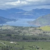 Tom McCall Point Trail, Oregon - 1,525 Reviews, Map | AllTrails