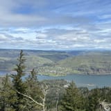 Tom McCall Point Trail, Oregon - 1,525 Reviews, Map | AllTrails