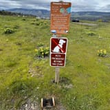 Tom McCall Point Trail, Oregon - 1,525 Reviews, Map | AllTrails