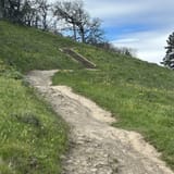 Tom McCall Point Trail, Oregon - 1,525 Reviews, Map | AllTrails