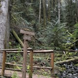 Maple Valley Loop, Washington - 230 Reviews, Map | AllTrails
