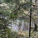 Maple Valley Loop, Washington - 230 Reviews, Map | AllTrails