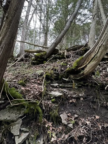 Best Hikes and Trails in Lowville | AllTrails Best Hikes and Trails in Lowville | AllTrails