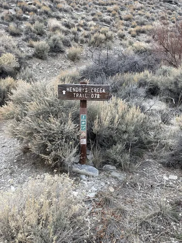 Best Hikes and Trails in Mt. Moriah Wilderness | AllTrails