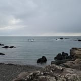 Parson's Way, Maine - 306 Reviews, Map | AllTrails