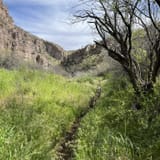 Picketpost Loop via Arizona Trail and L.O.S.T Trail, Arizona - 1,483 ...