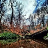 Beamish Park and Causey Arch Circular, County Durham, England - 448 ...