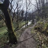 Beamish Park and Causey Arch Circular, County Durham, England - 448 ...