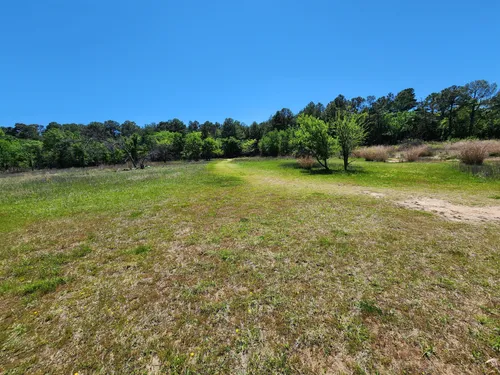 Best Trail Running Trails in Ray Roberts Lake State Park - Isle Du Bois ...