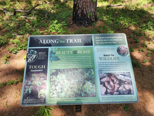 Best Trail Running Trails in Ray Roberts Lake State Park - Isle Du Bois ...