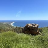 Ocean Overlook Loop, California - 1,003 Reviews, Map | AllTrails