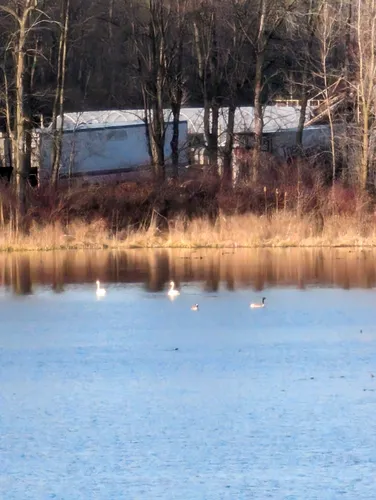 Best Hikes and Trails in Bannister Lake Conservation Area | AllTrails