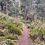 Tradition Lake Loop Trail, Washington - 1,618 Reviews, Map | AllTrails