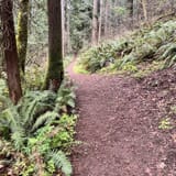 Tradition Lake Loop Trail, Washington - 1,618 Reviews, Map | AllTrails