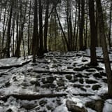 Severance Mountain, New York - 989 Reviews, Map | AllTrails